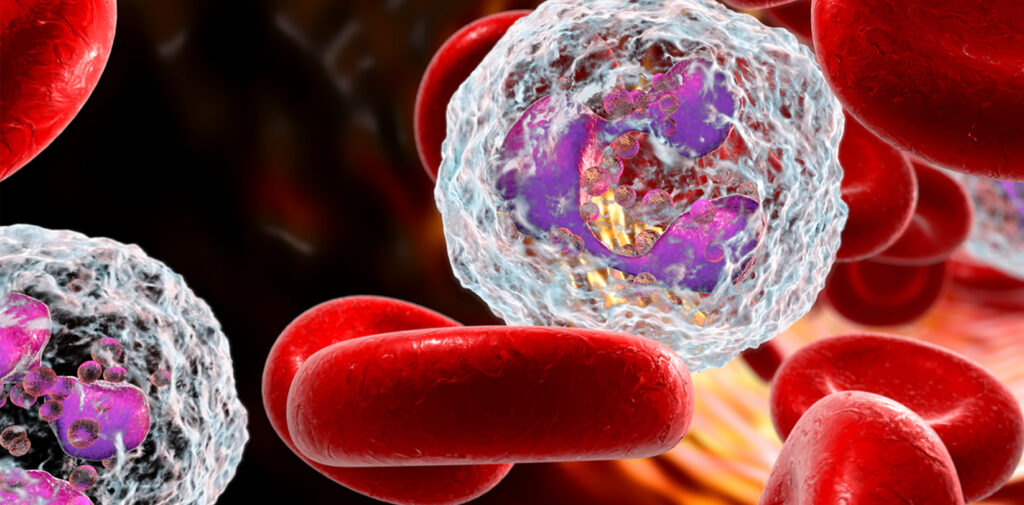 PBMCs: A powerful research tool - AllCells