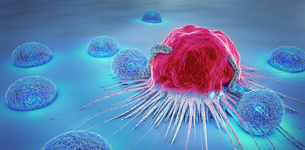 GMP Leukopaks for Allogeneic Cell Therapies | AllCells