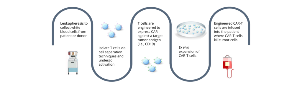 A Decade of Innovation: CAR-T Successes and Latest Developments | AllCells