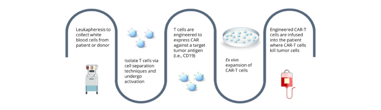 A Decade of Innovation: CAR-T Successes and Latest Developments | AllCells