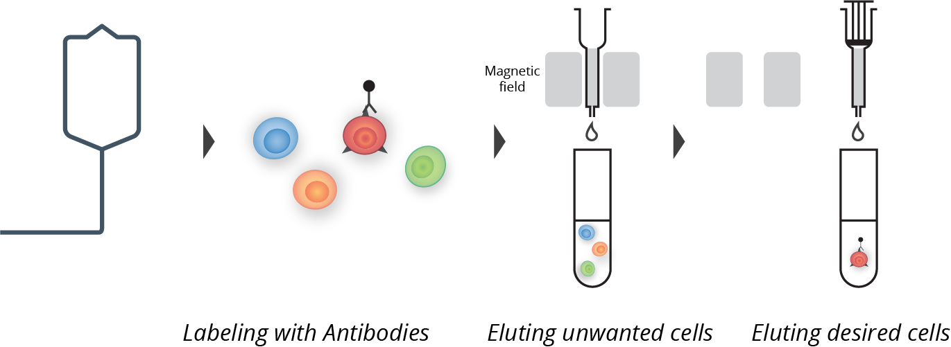 FAQ Blog Series: What’s the Difference between Positive and Negative ...