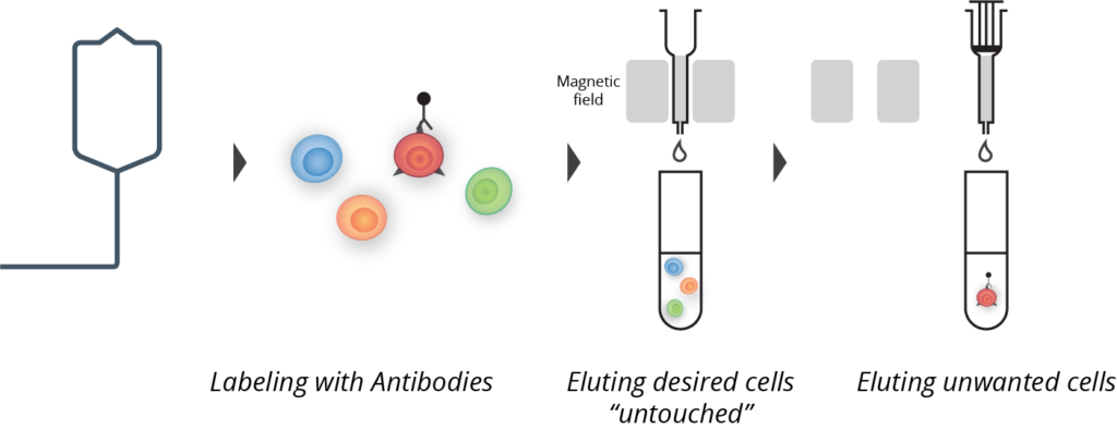 FAQ Blog Series: What’s the Difference between Positive and Negative ...