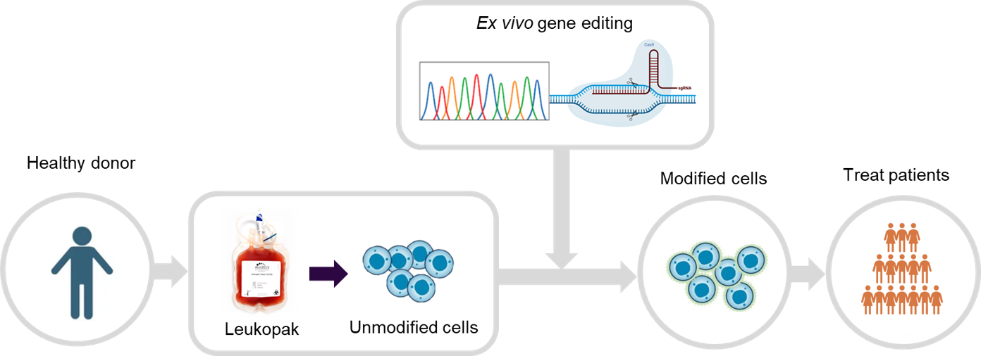 Progressing Ex Vivo Gene Editing Innovations with High-Quality ...