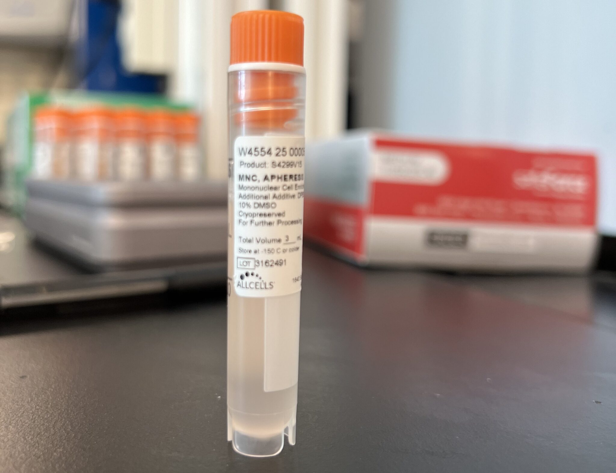 GMP Cryopreserved PBMCs | AllCells